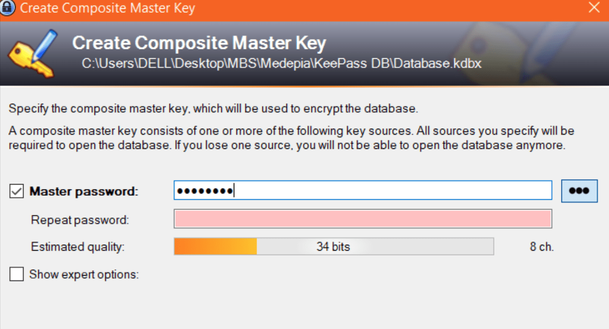 SAP GUI'de KeePass ile Otomatik Şifre Yönetimi Nasıl Yapılır? | MDP Group