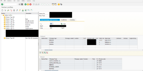 SAP S/4HANA Master Data Transfer to Decentral System with IDoc | MDP Group