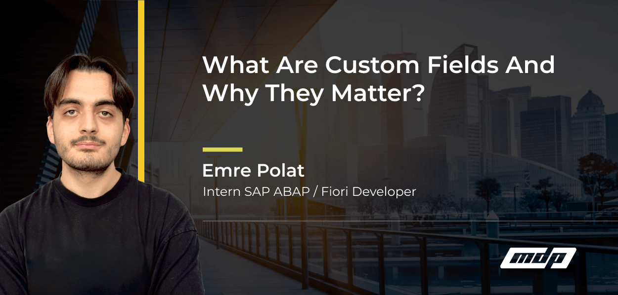 What Are Custom Fields And Why They Matter ? | MDP Group
