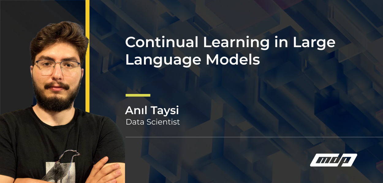 Continual Learning in Large Language Models | MDP Group